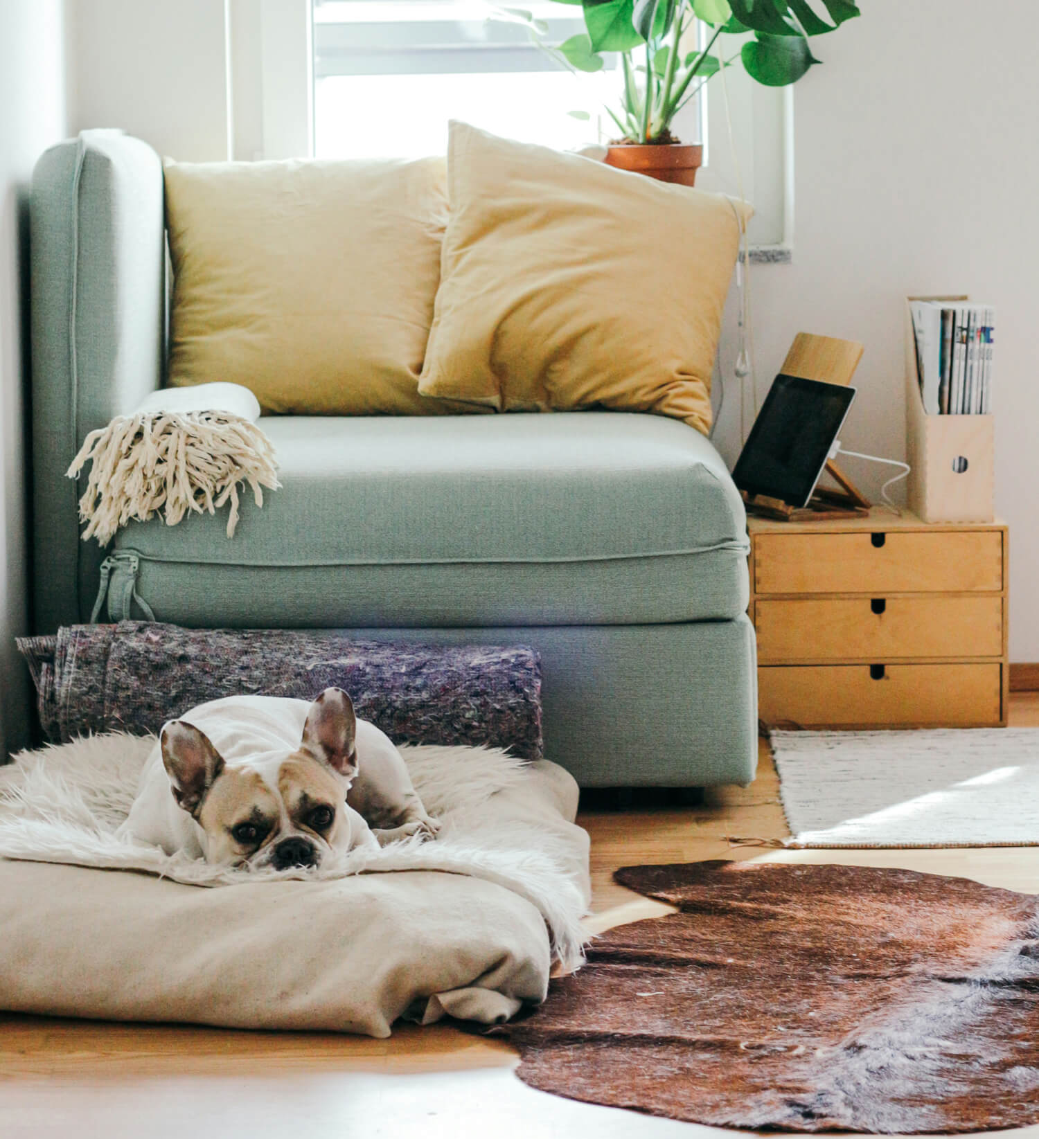 Contact Bitterroot Property Management